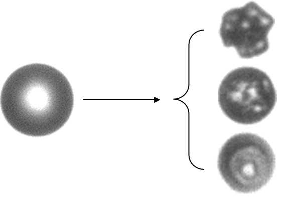 Evaporative Droplet Drying | School of Chemistry | University of Bristol