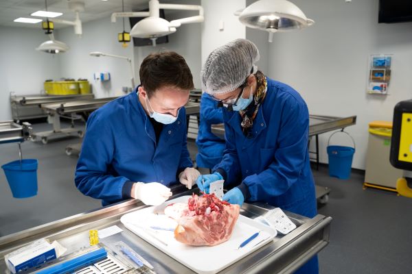 Oral Surgery Dissection | Bristol Dental School | University of Bristol